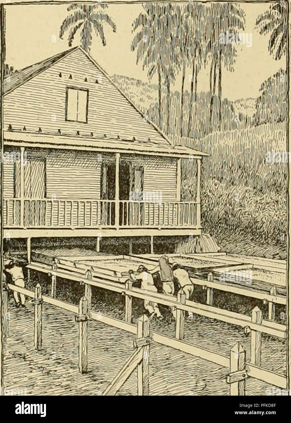 This cyclopedia provides comprehensive information on coffee farming ...