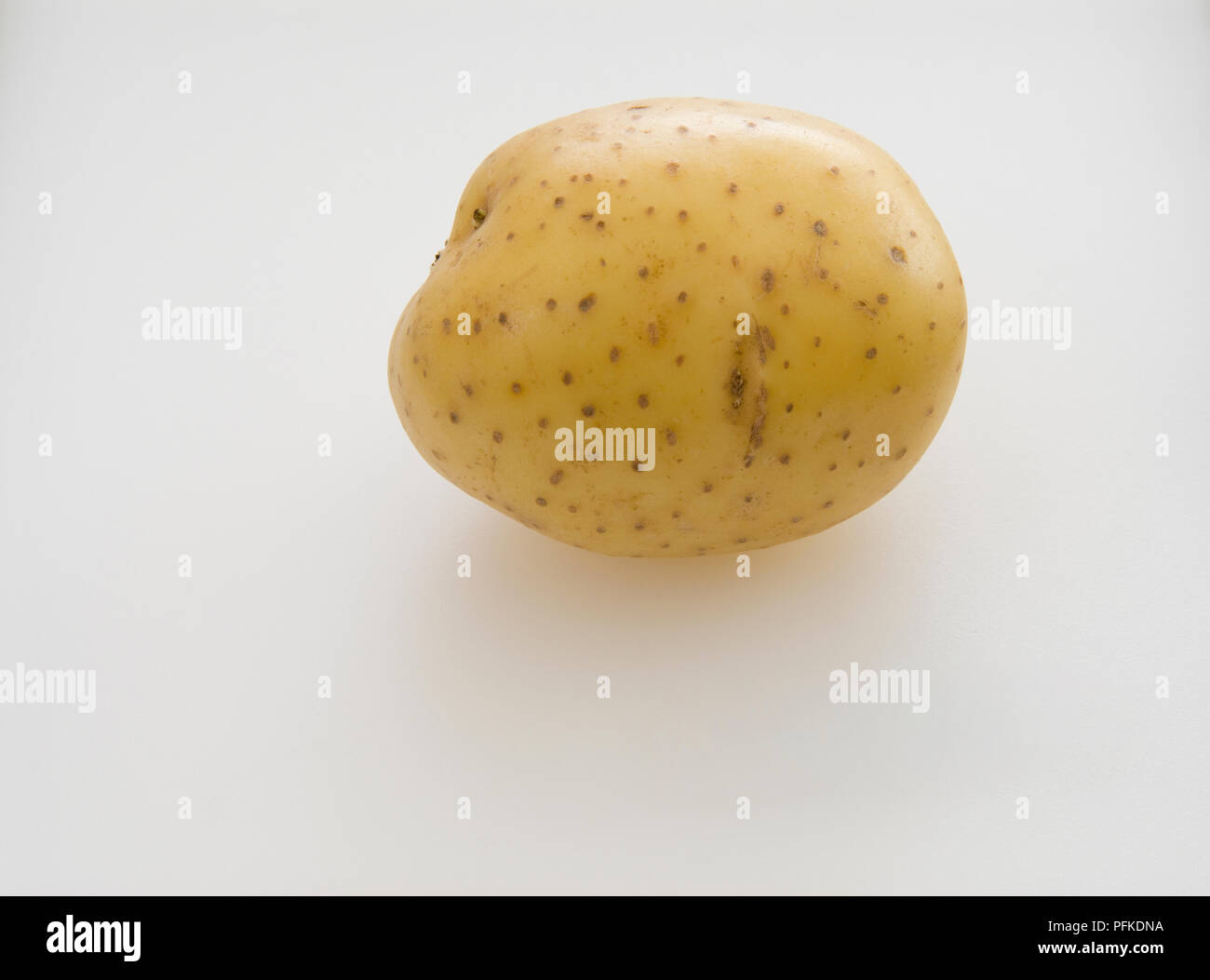 Vivaldi hi-res stock photography and images - Alamy