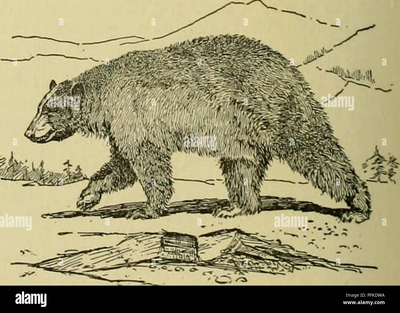 This entry from a farm animals cyclopedia includes descriptions of ...