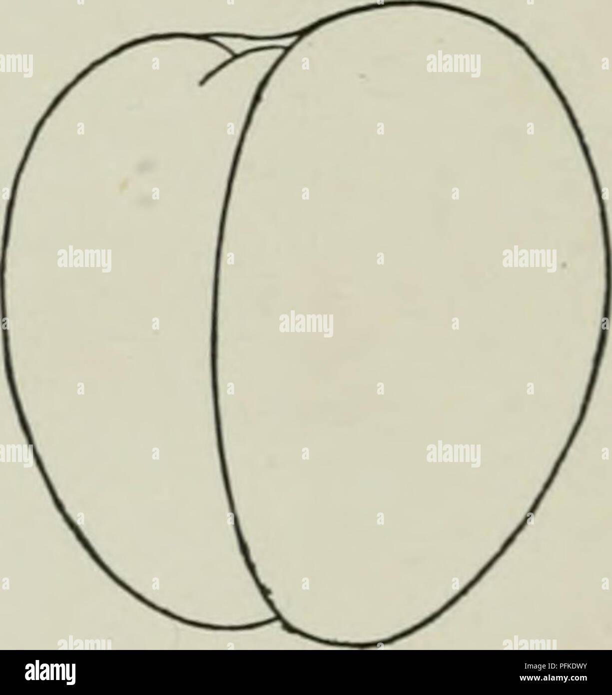 Anagram High Resolution Stock Photography and Images - Alamy