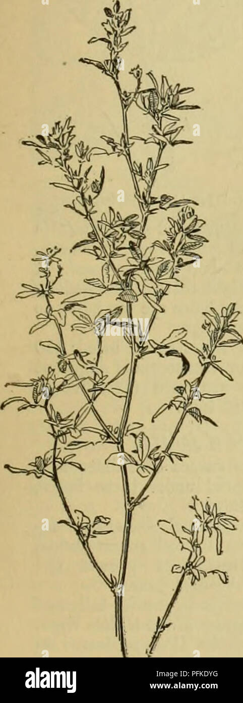 This comprehensive reference work provides detailed information on ...