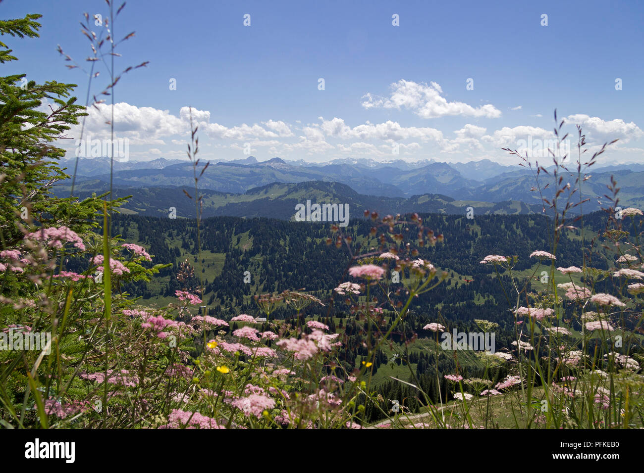 view South-East from Hochgrat near Steibis, Allgaeu, Bavaria, Germany ...