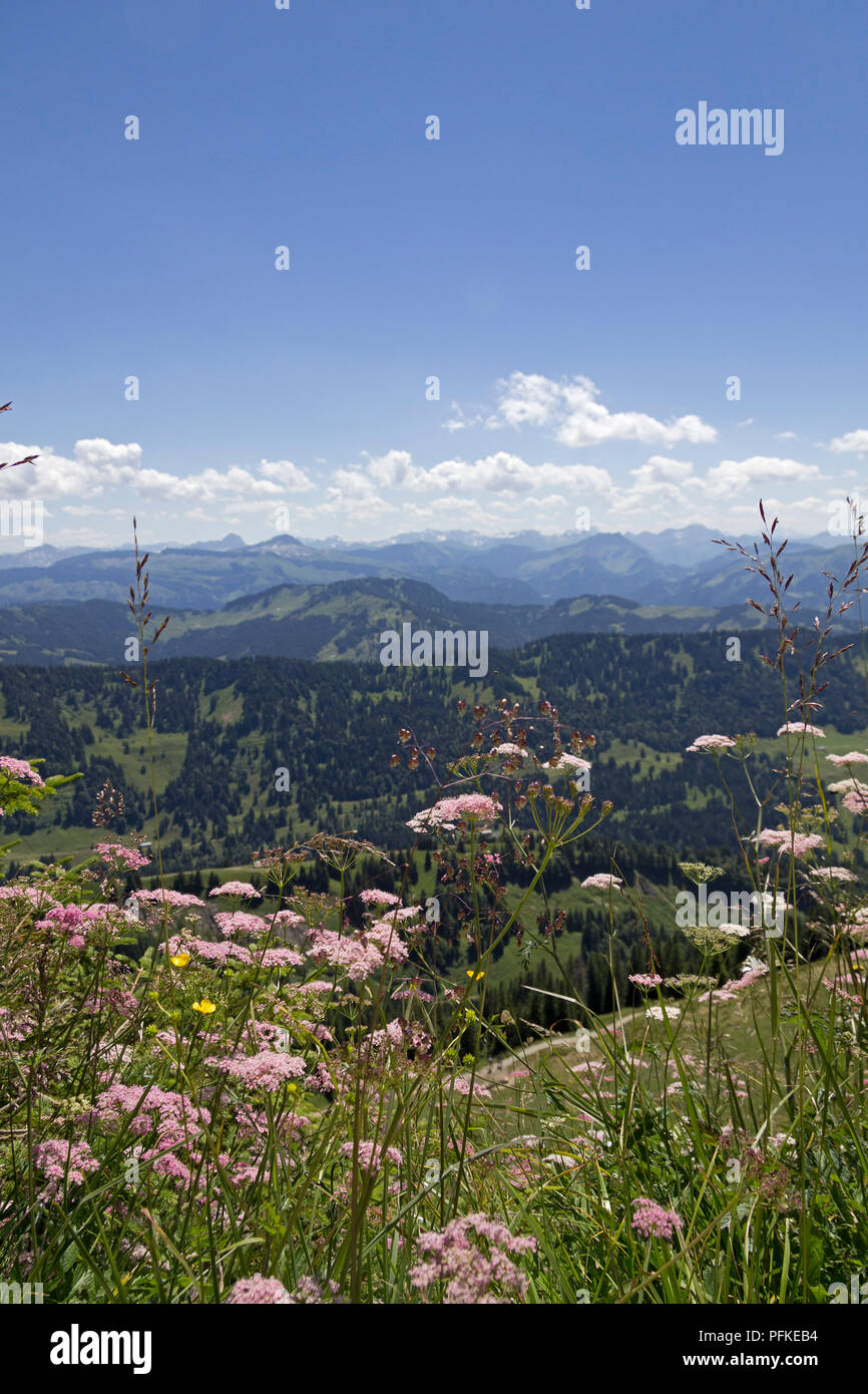 view South-East from Hochgrat near Steibis, Allgaeu, Bavaria, Germany ...