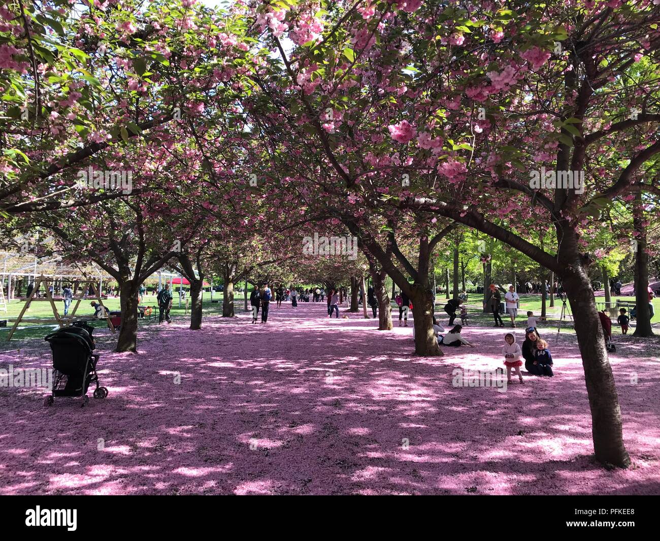 Brooklyn Botanic Garden on a Spring day, New York City, USA Stock Photo ...