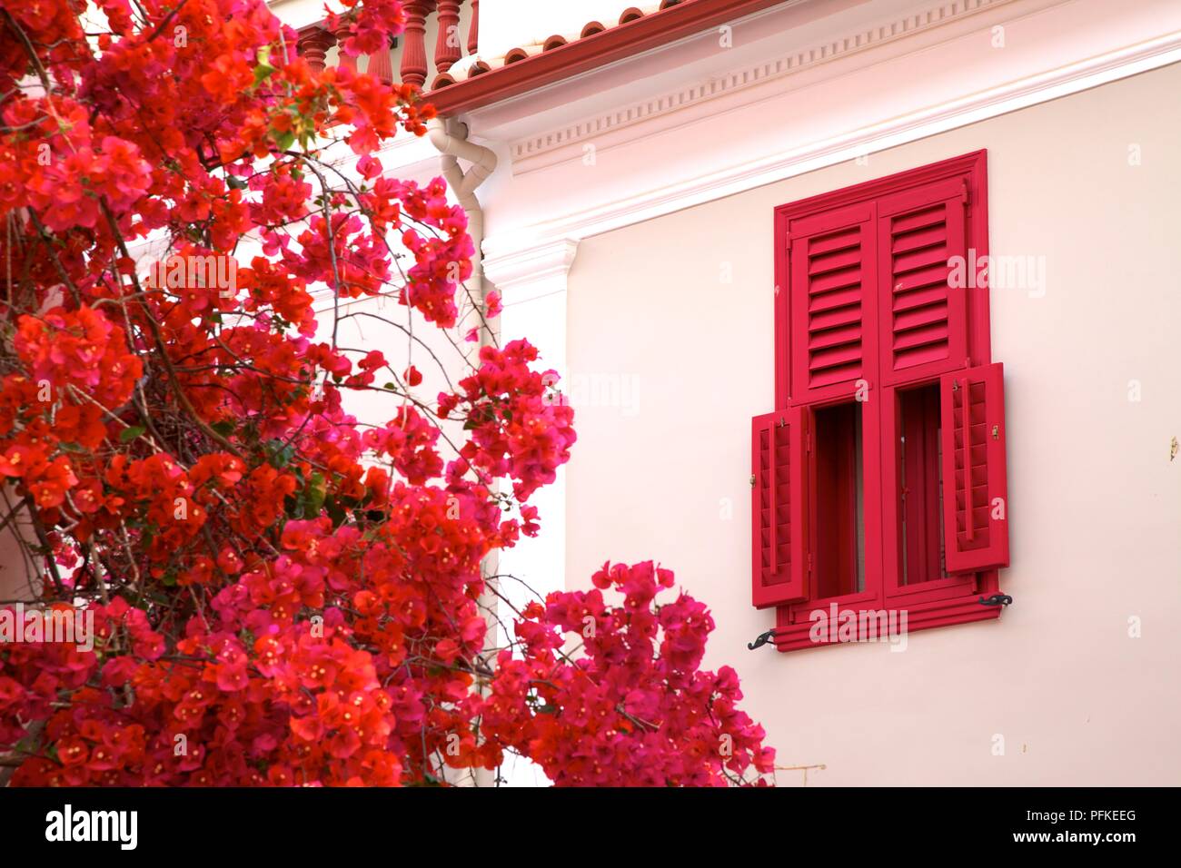 Window Shutters in the Old Town of Nafplio, Argolis, The Peloponnese ...