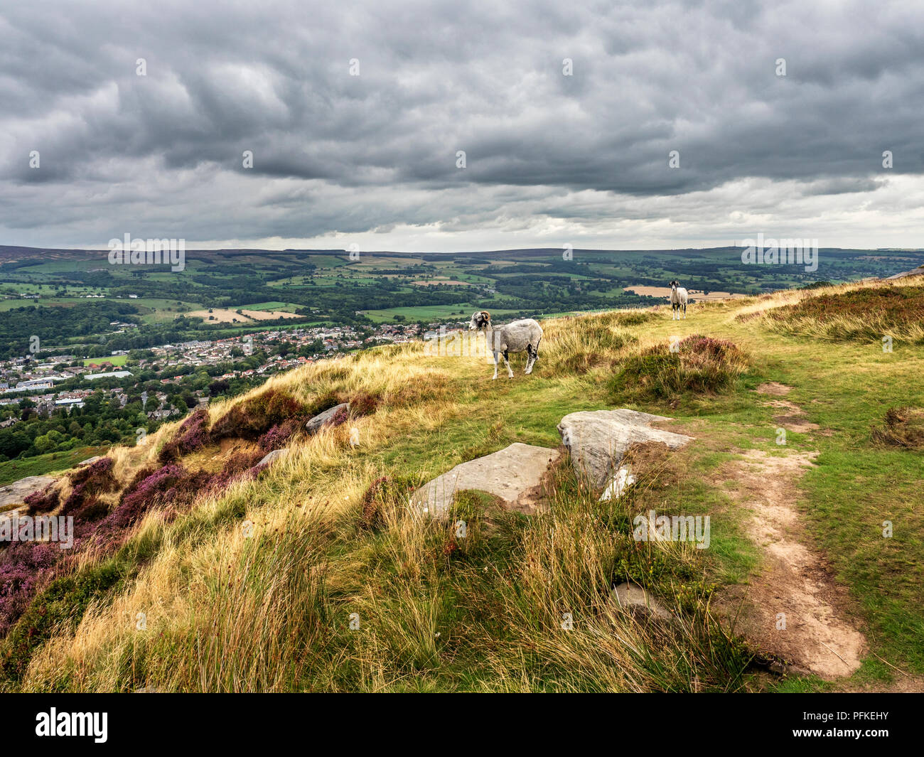 Ilkley moor summer hi-res stock photography and images - Alamy