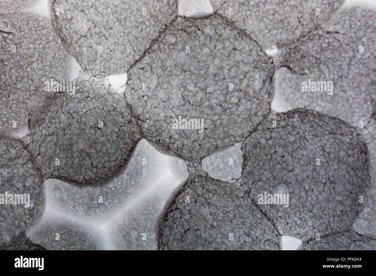 Extreme macro EPS / Expanded Polystyrene showing some links between ...