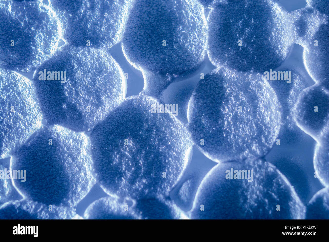 Plastic eating bacteria hi-res stock photography and images - Alamy
