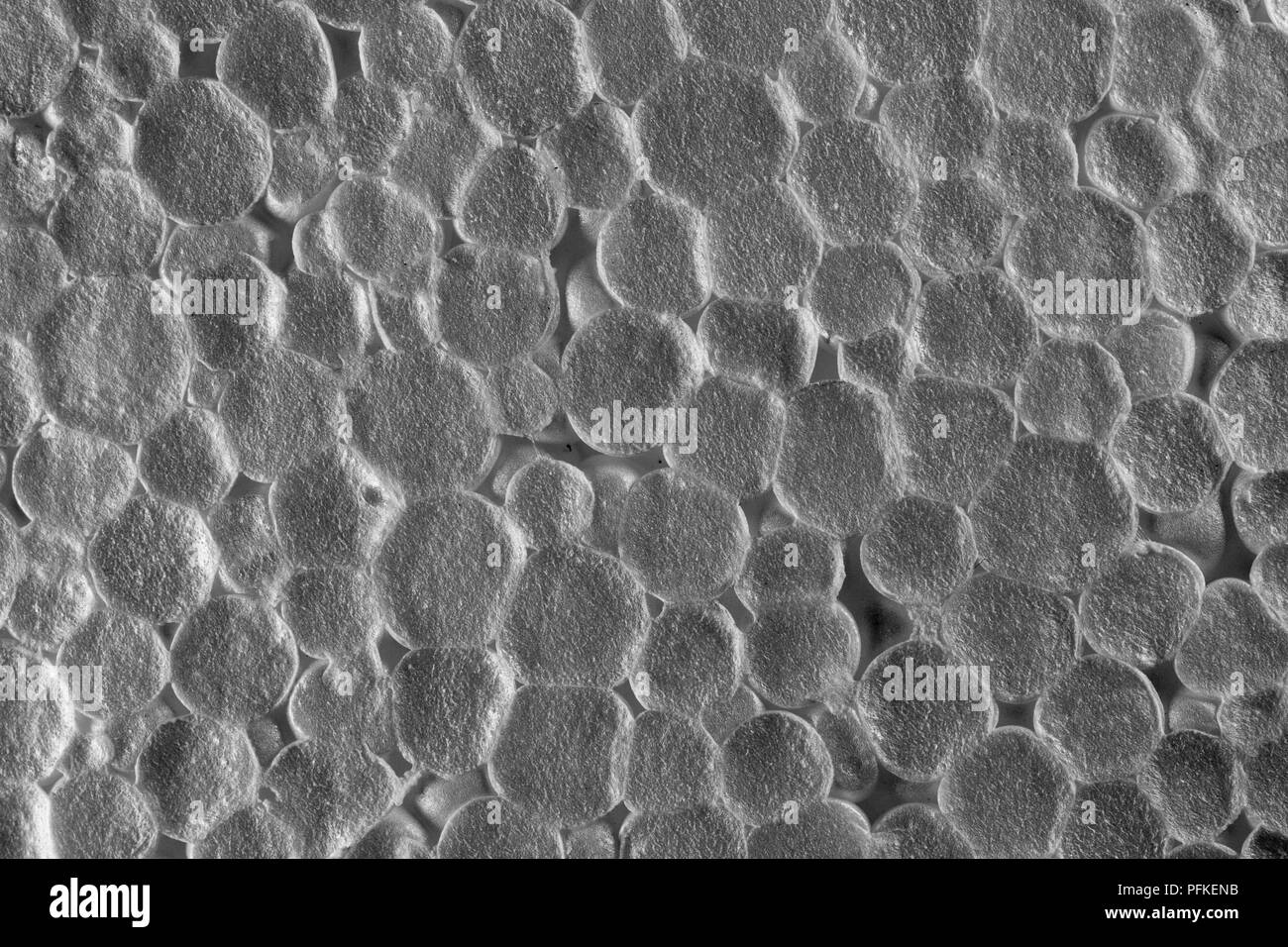 Macro photo EPS / Expanded Polystyrene showing some links between ...