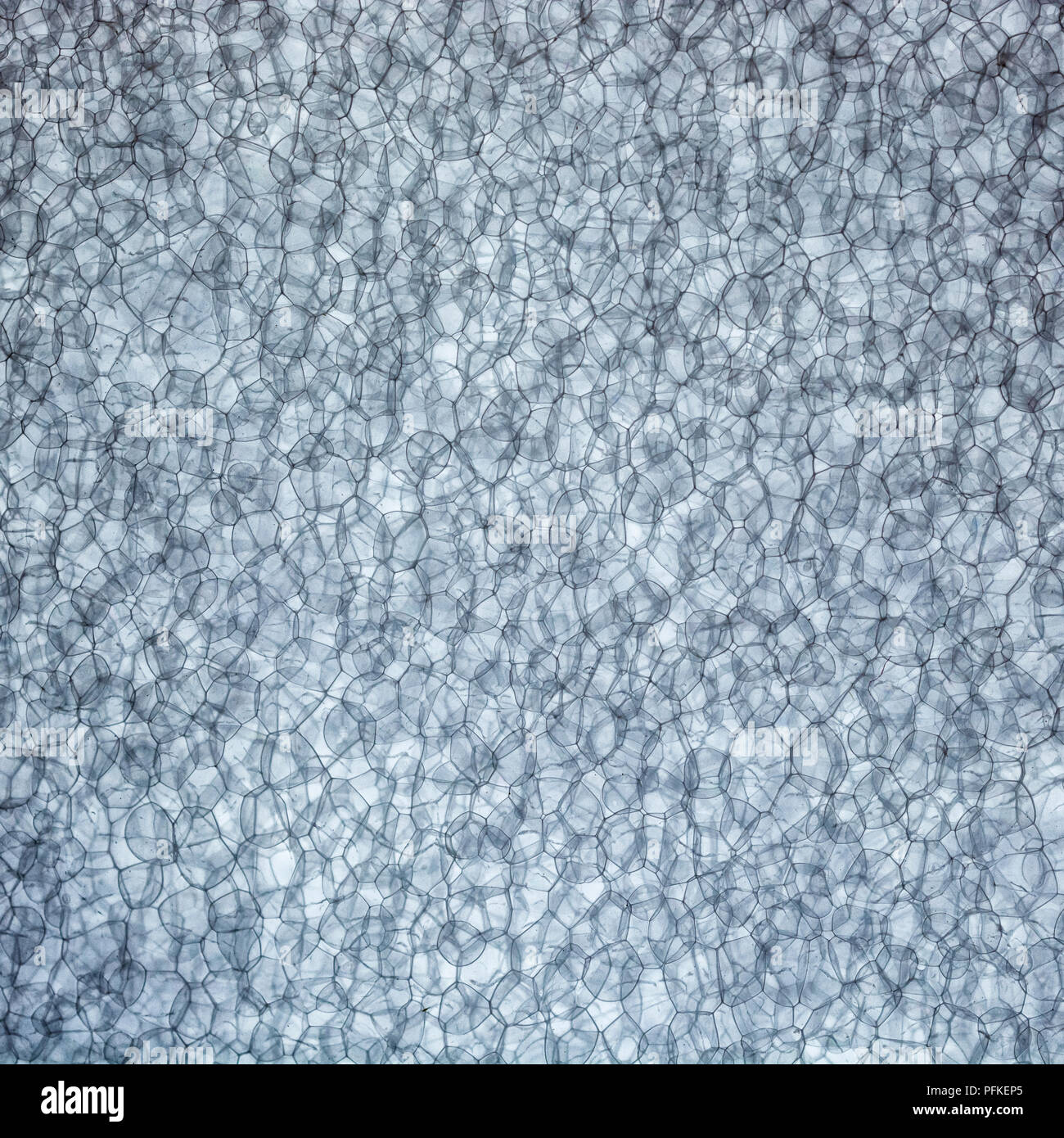 Plastic sheet pollution hi-res stock photography and images - Alamy