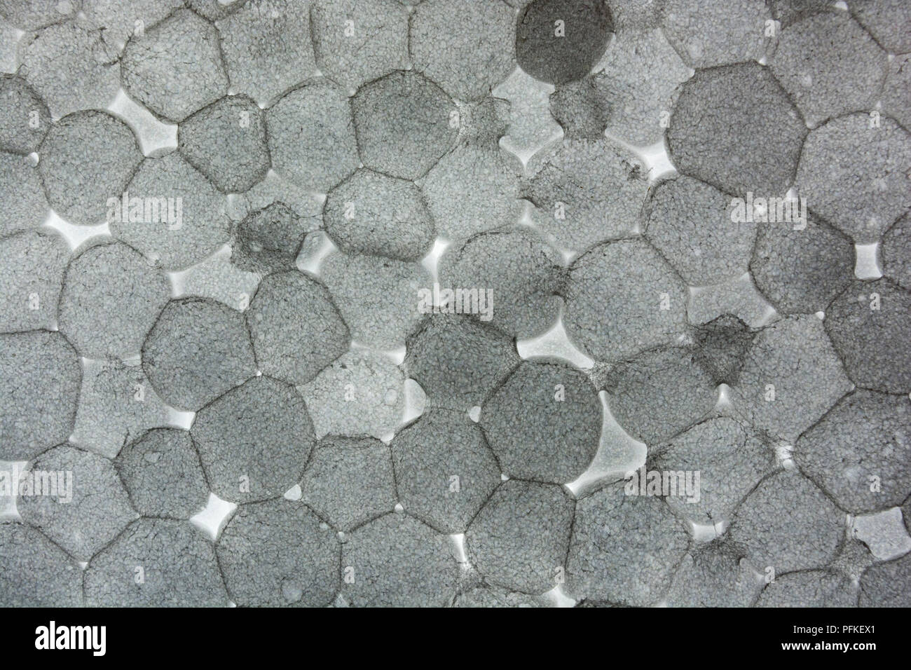 Expanded polystyrene hi-res stock photography and images - Alamy