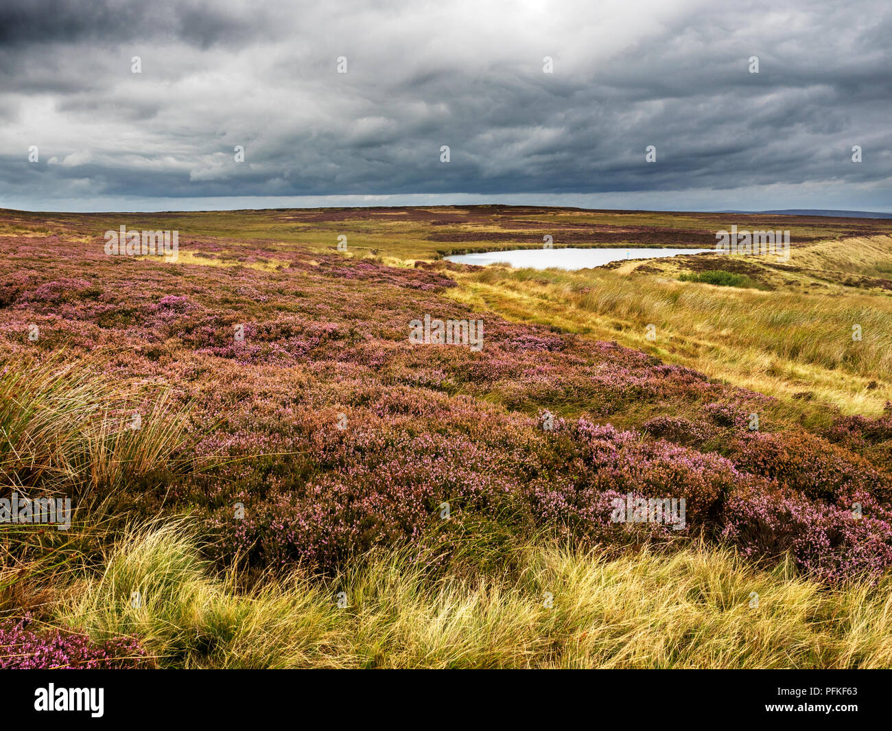 High lanshaw dam hi-res stock photography and images - Alamy