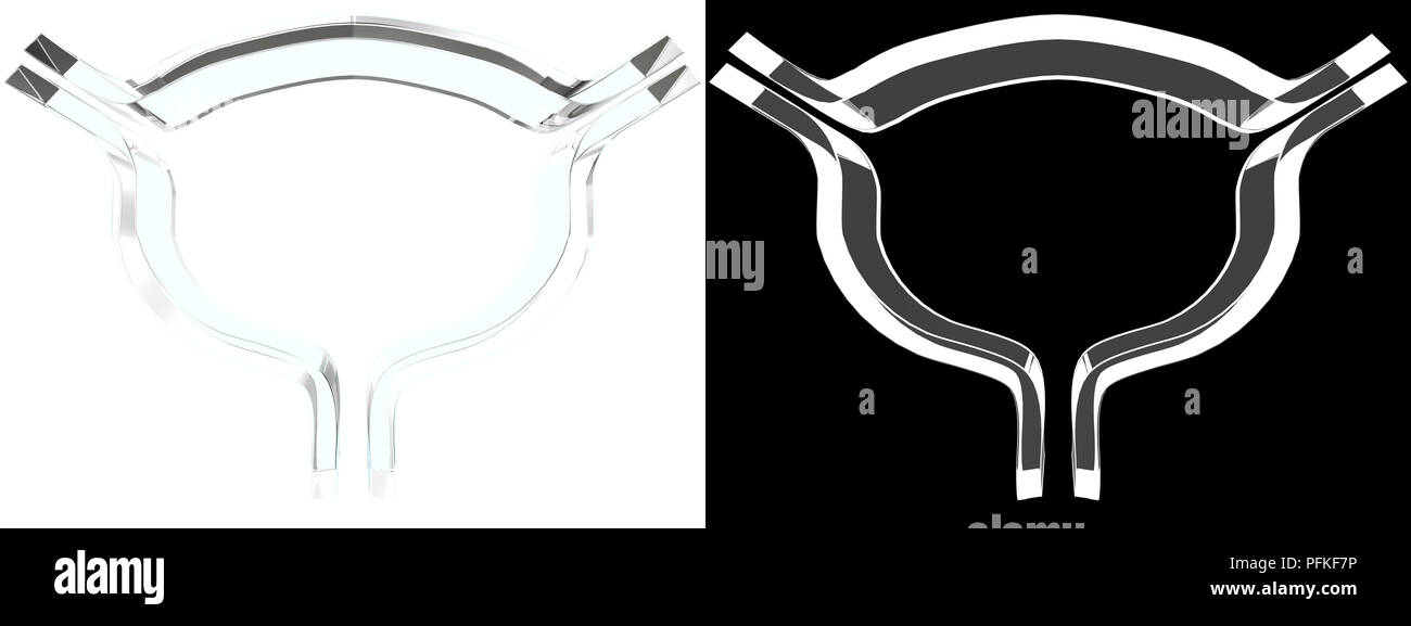 A 3d illustration of glass bladder symbol Stock Photo - Alamy