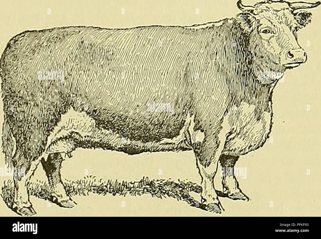 . Cyclopedia of farm animals. Domestic animals; Animal products. Fig ...