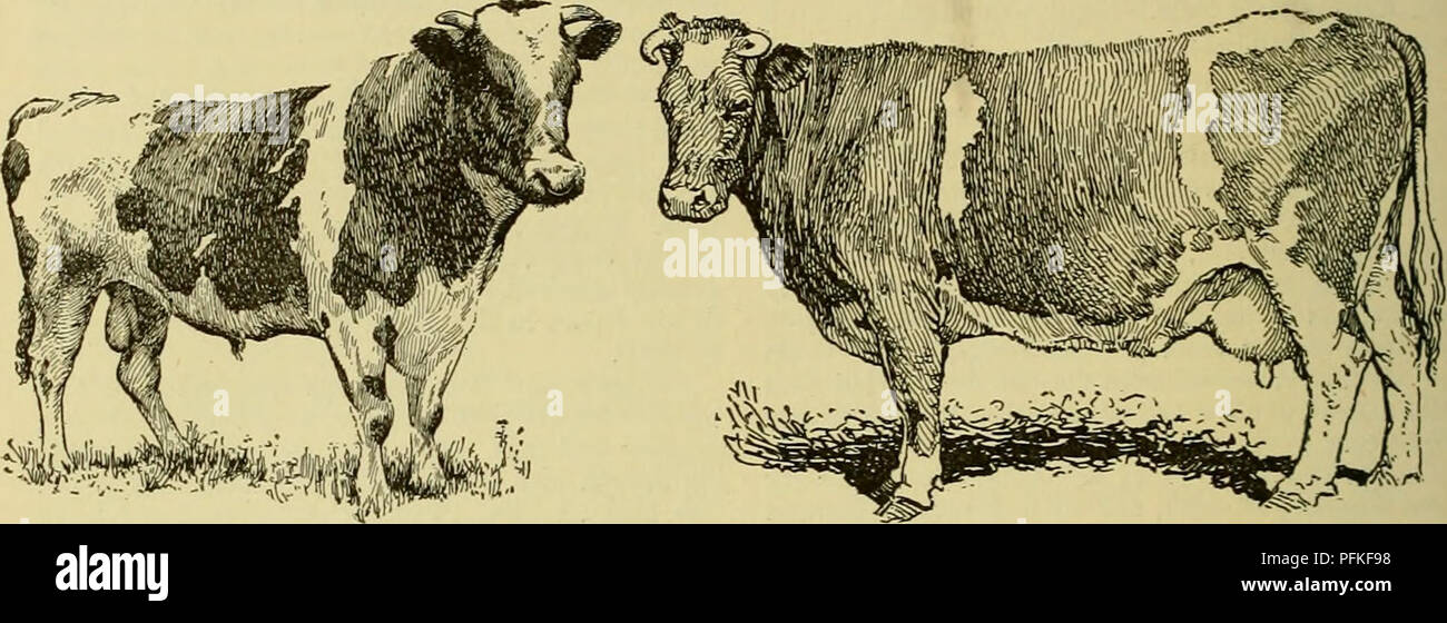 This cyclopedia covers various farm animals, including their breeds ...