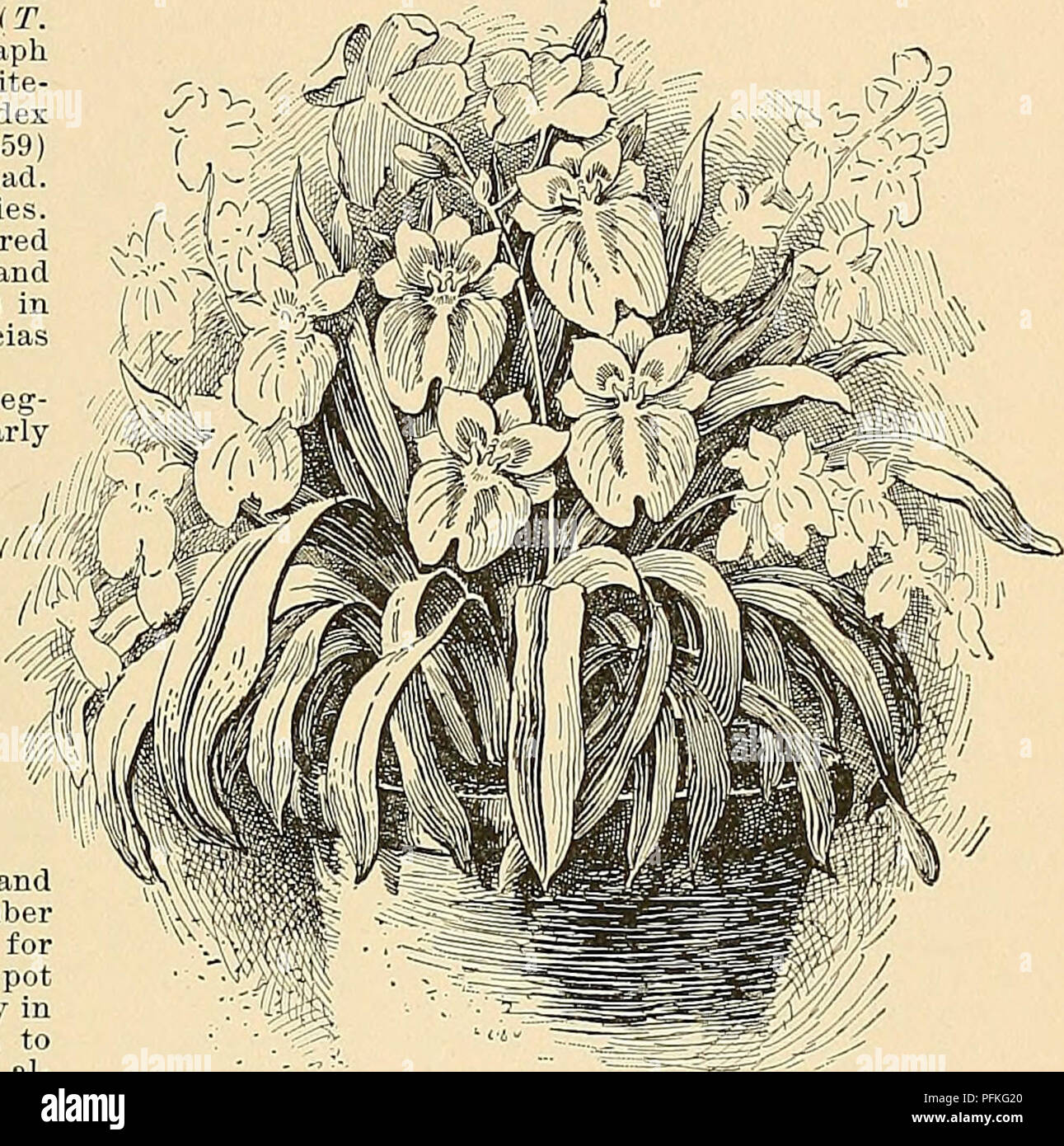 This section from the 'Cyclopedia of American Horticulture' discusses ...