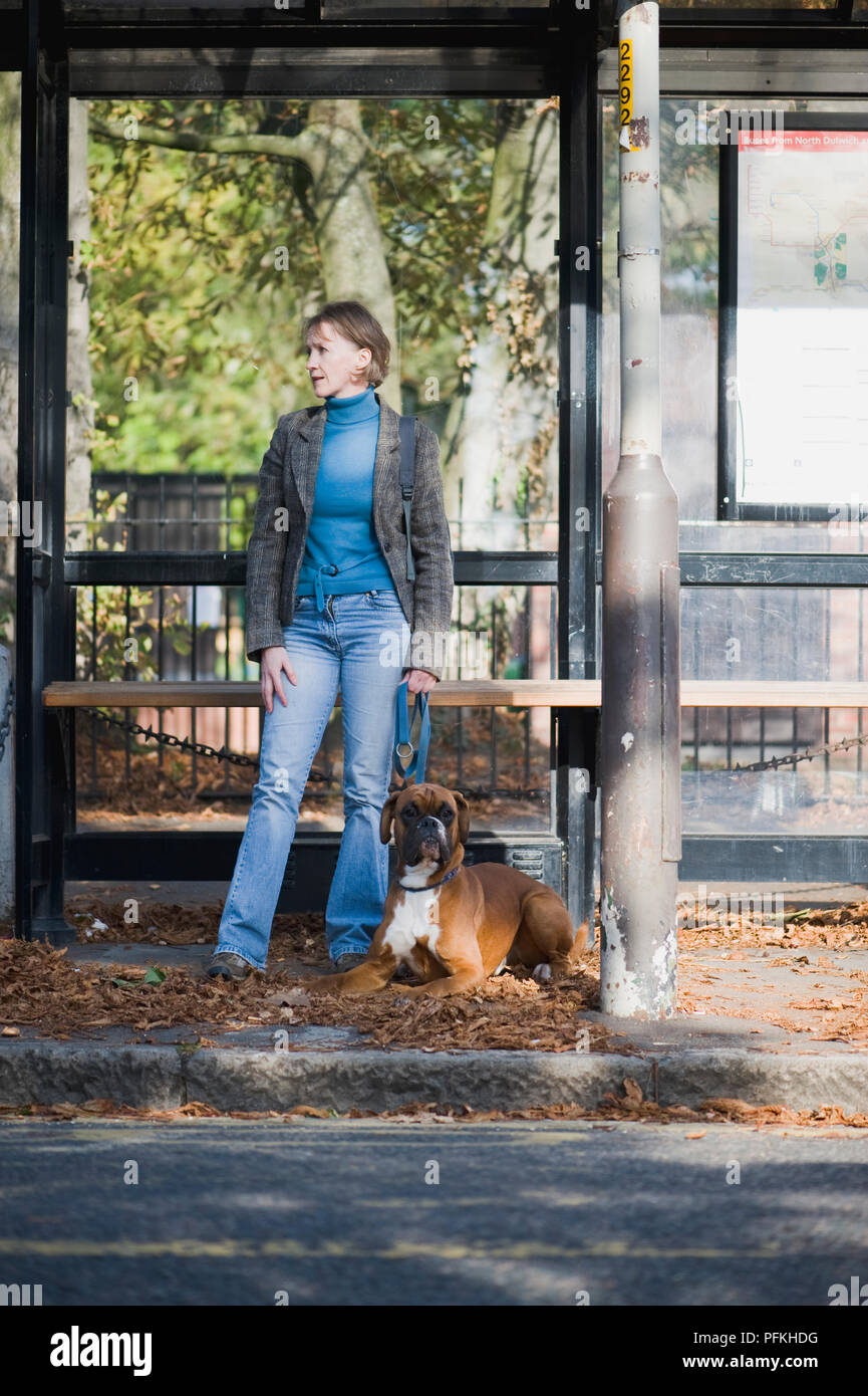 Woman standing at bus stop with Boxer dog lying at feet Stock Photo - Alamy