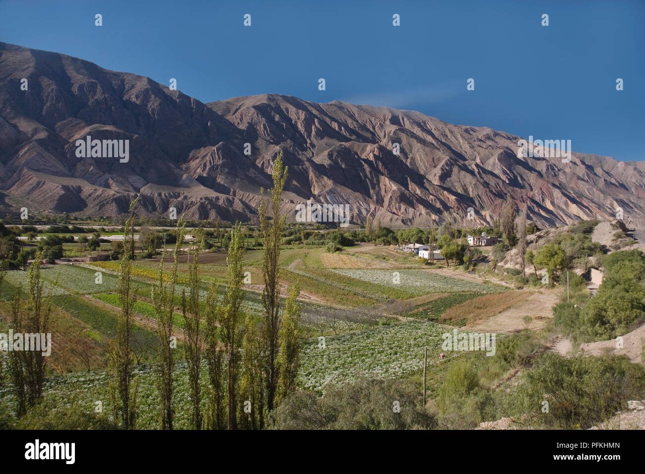Argentina, Jujuy Province, Quebrada de Humahuaca canyon, lush ...