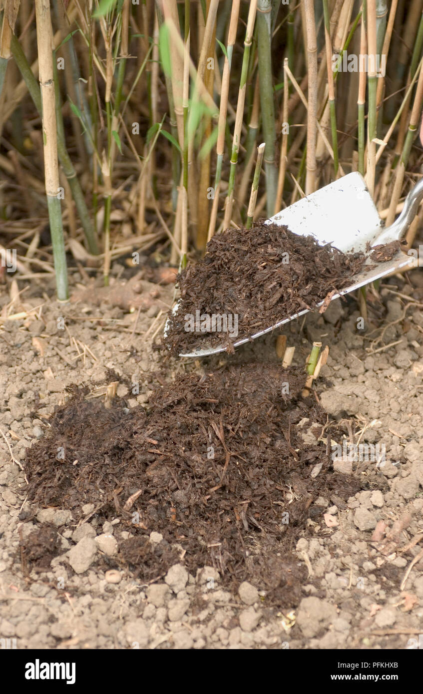 Composted bark hi-res stock photography and images - Alamy