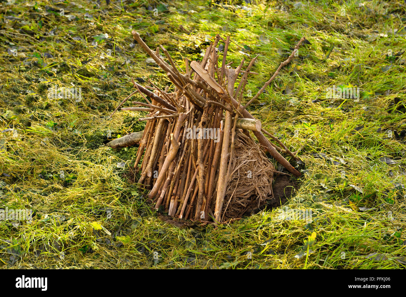 Small camp fire constructed in wigwam shape from thin dried branches ...