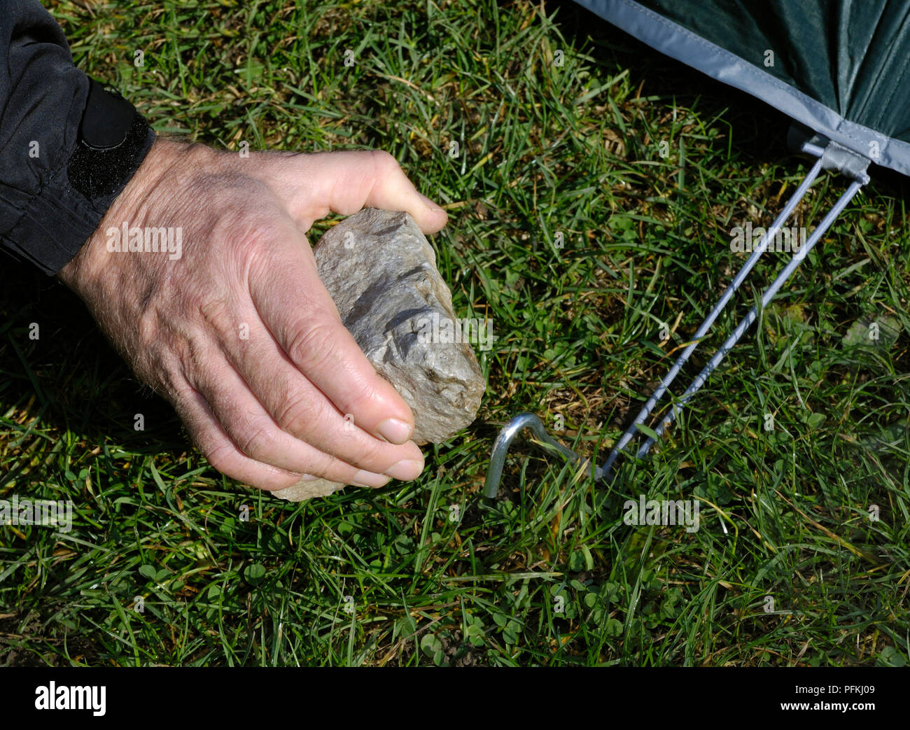 Man using rock to knock tent peg into ground Stock Photo - Alamy