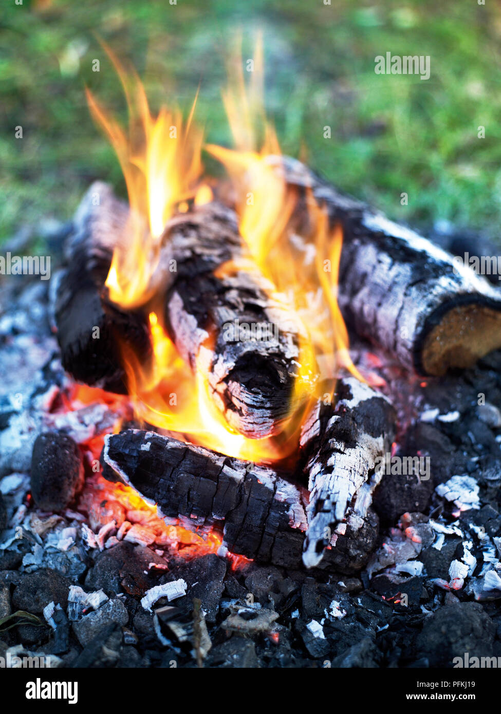 Flames and burning embers of camp fire Stock Photo - Alamy
