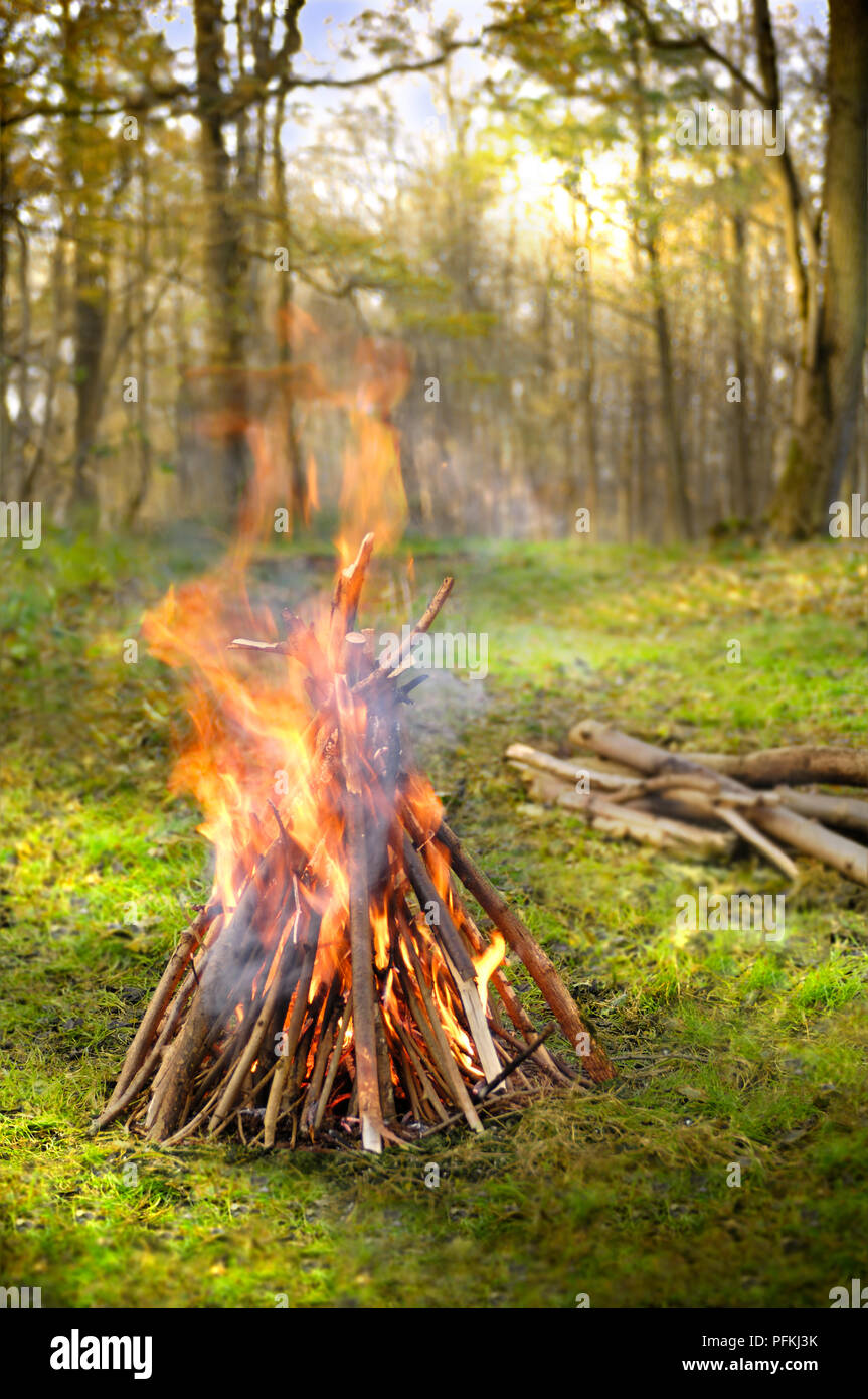 Burning camp fire on open ground of wooded area constructed from stack ...