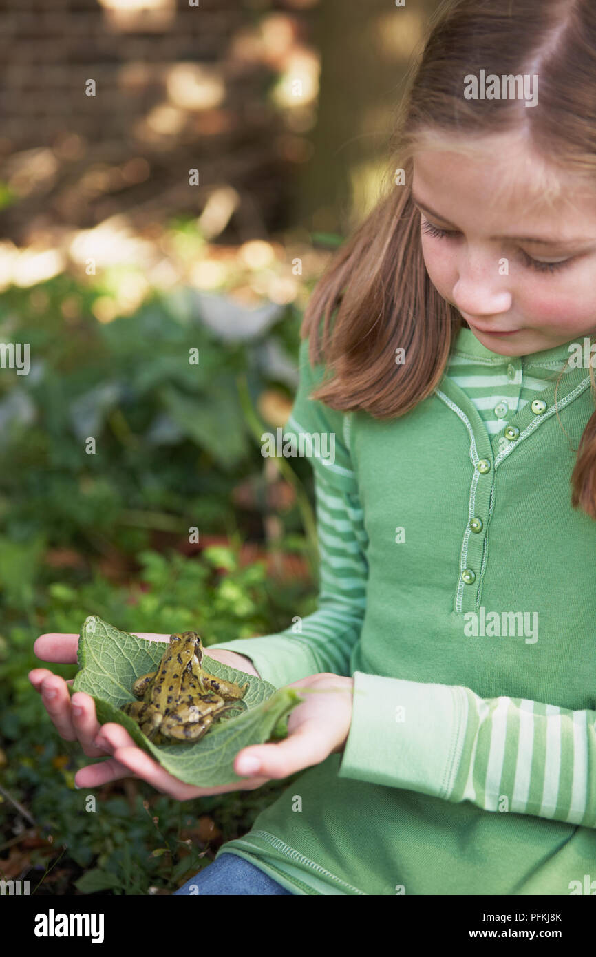 Frog hands hi-res stock photography and images - Alamy