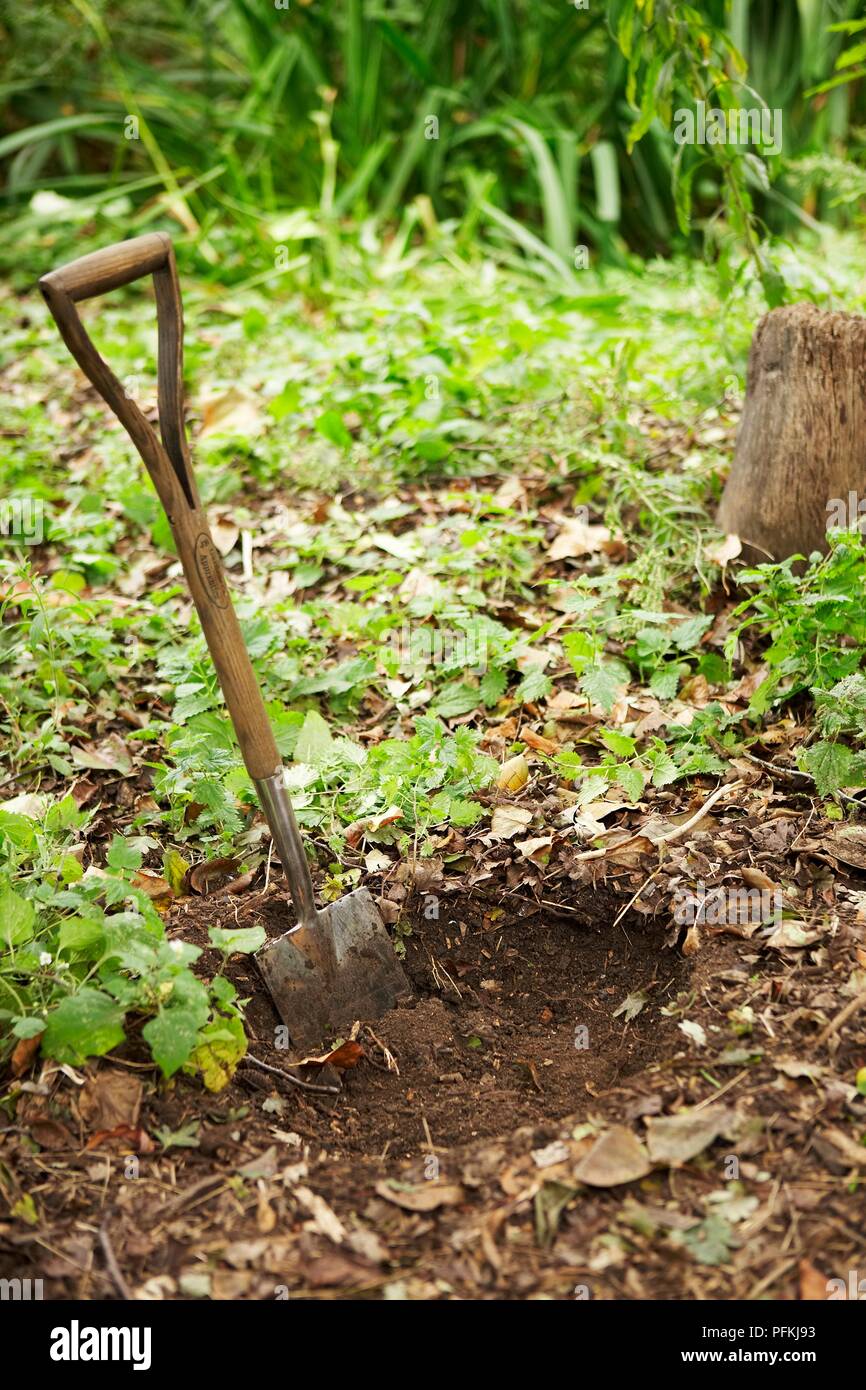 Spade left in soil Stock Photo - Alamy