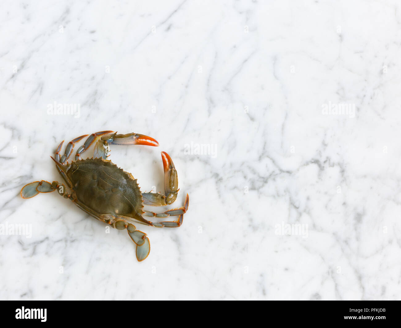 Crab on marbled surface, view from above Stock Photo - Alamy