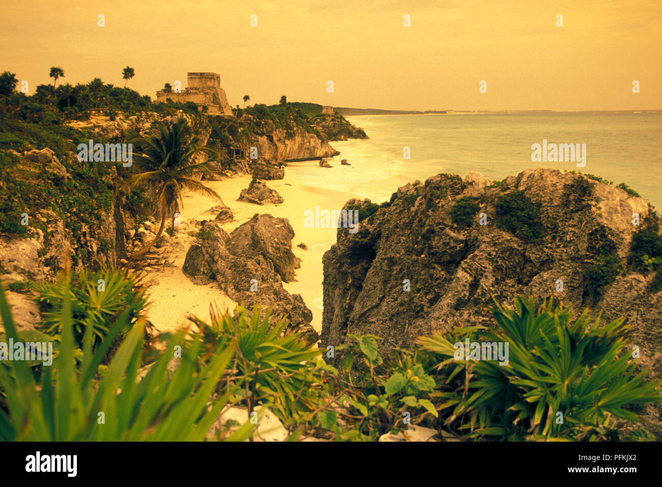 the maya ruins of Tulum at the beach of Tulum in the Province Quintana ...