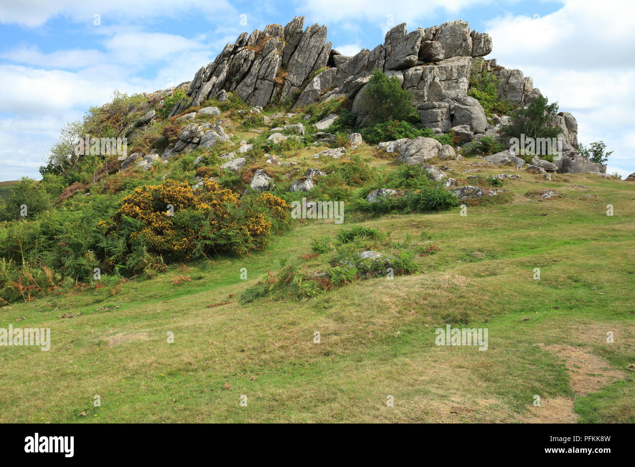Greator rocks, Dartmoor National park, Devon, England, UK Stock Photo ...