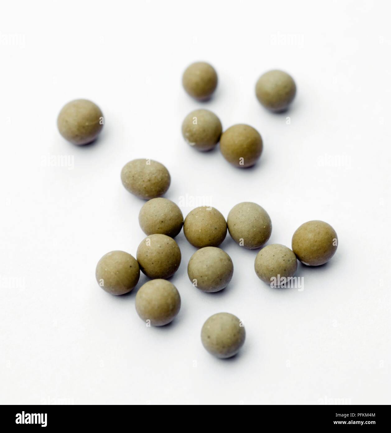 Pelleted green tomato seeds Stock Photo - Alamy
