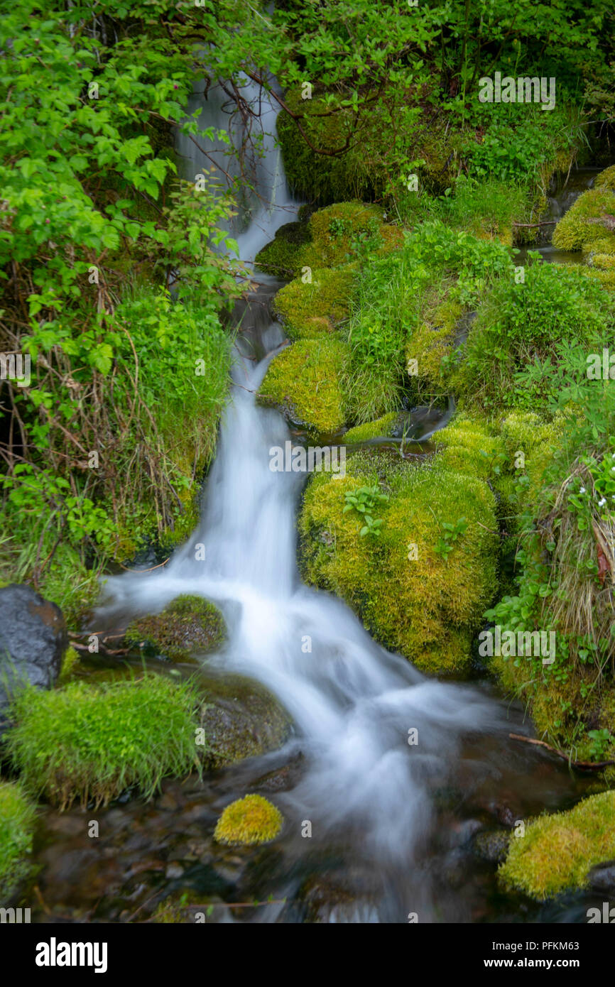 Oregon river bank grass hi-res stock photography and images - Alamy