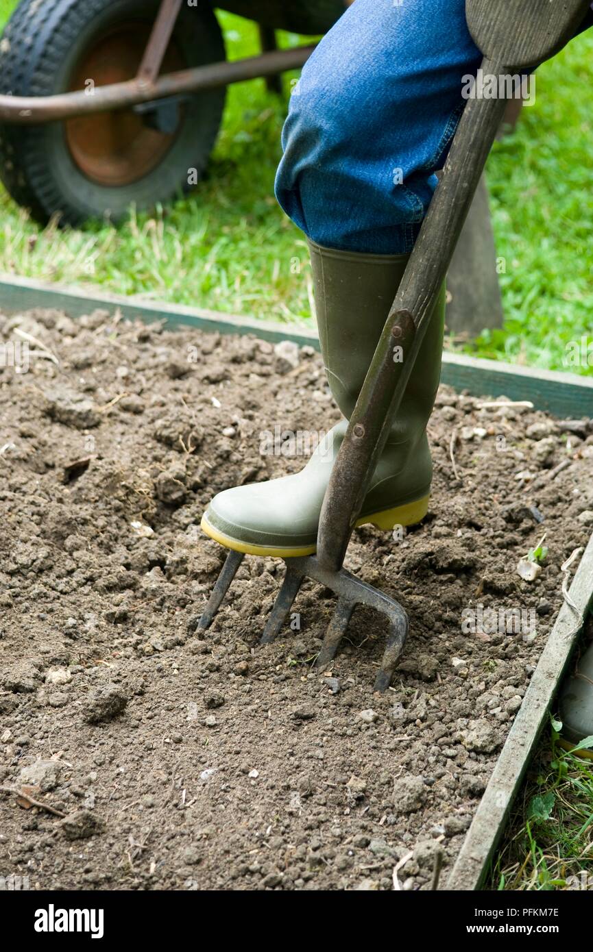 Digging hole in soil using garden fork Stock Photo - Alamy