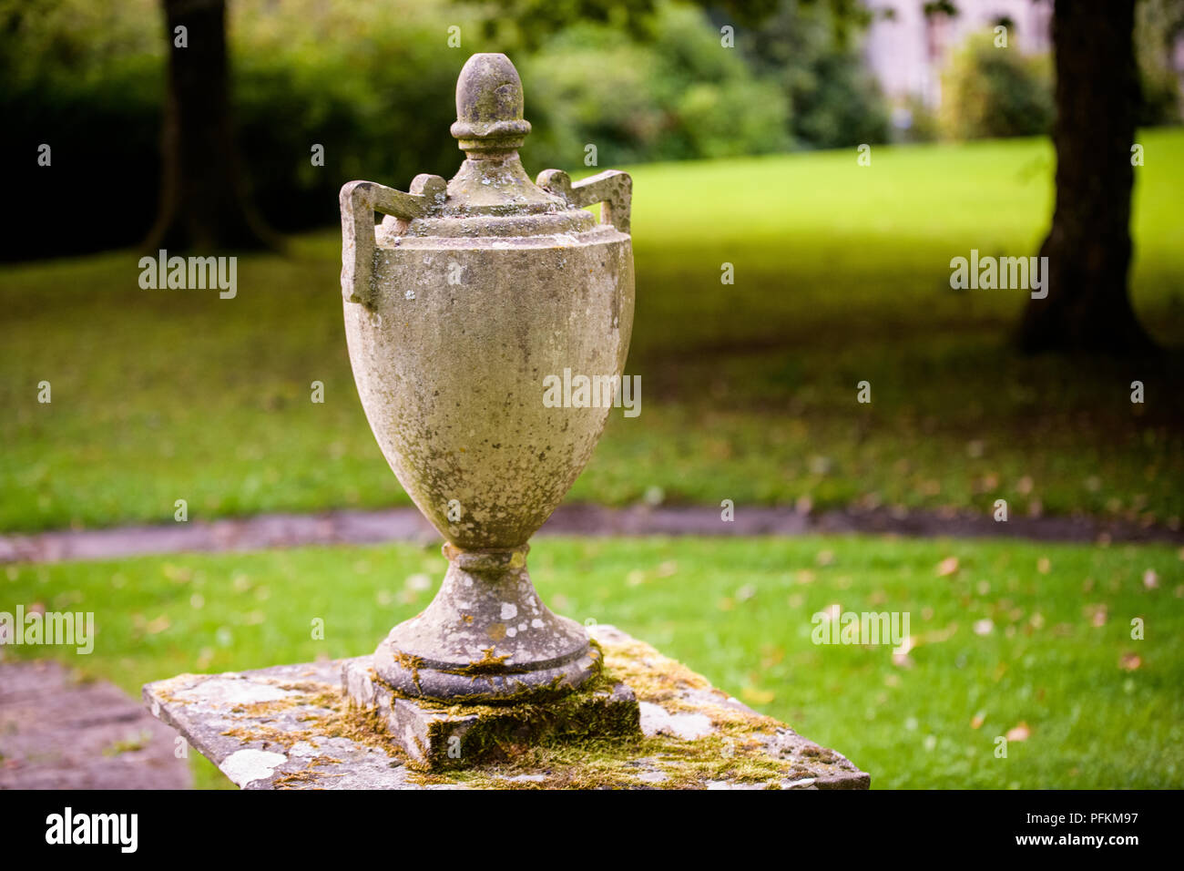 Trophy display case hi-res stock photography and images - Alamy