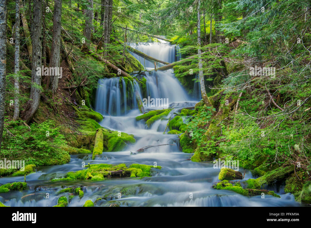 Oregon river bank grass hi-res stock photography and images - Alamy