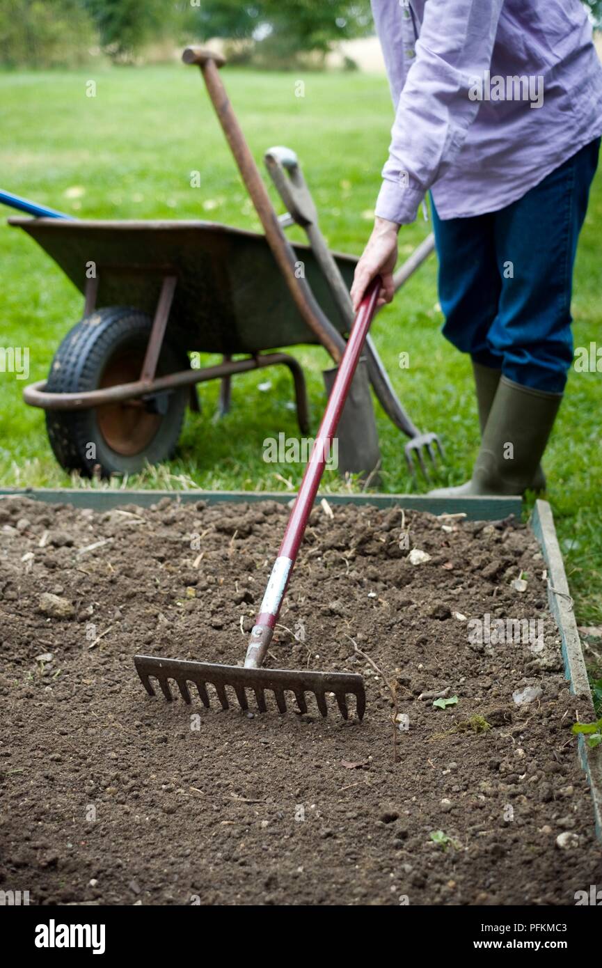 Raking soil in vegetable garden, wheelbarrow, spade and fork in ...