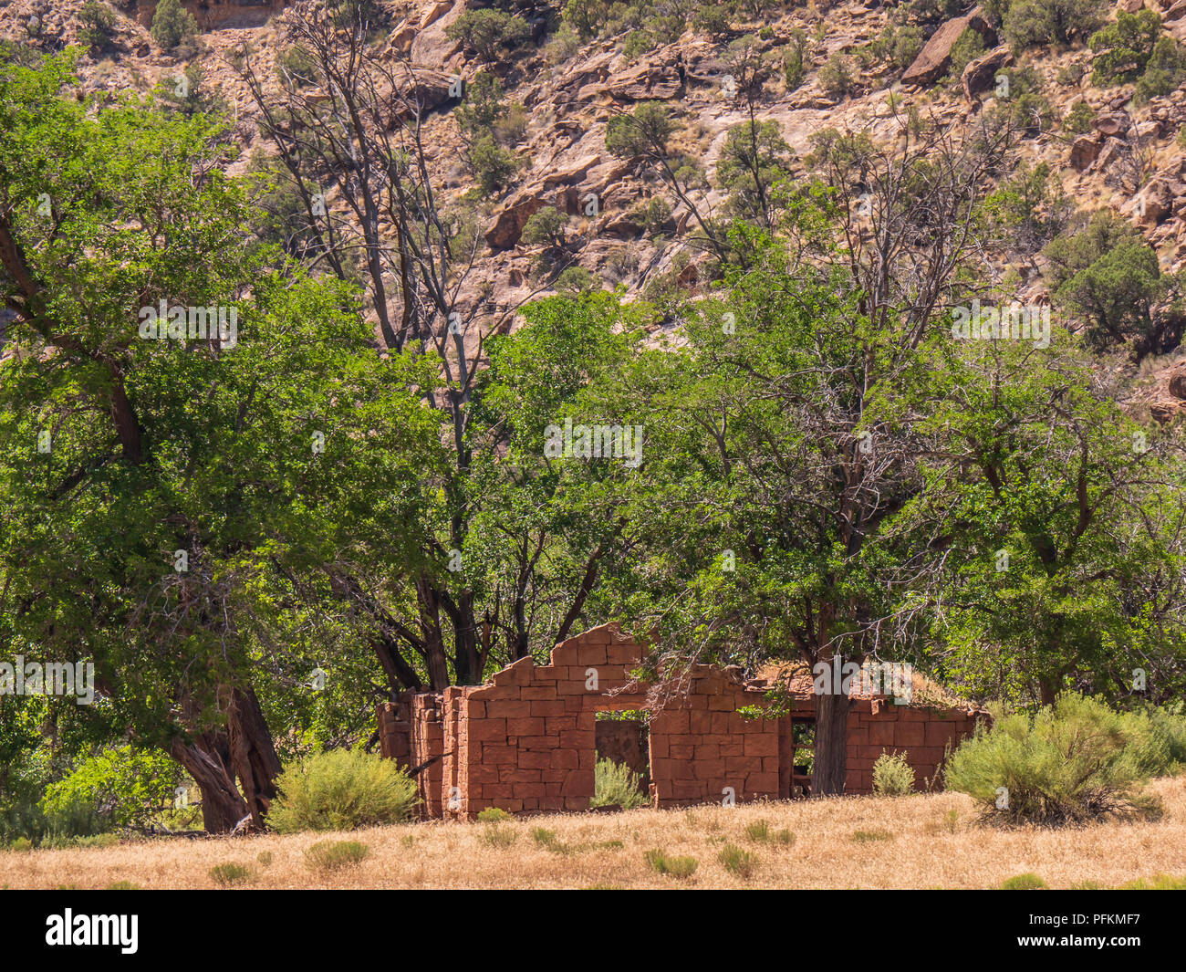 Drystack hi-res stock photography and images - Alamy