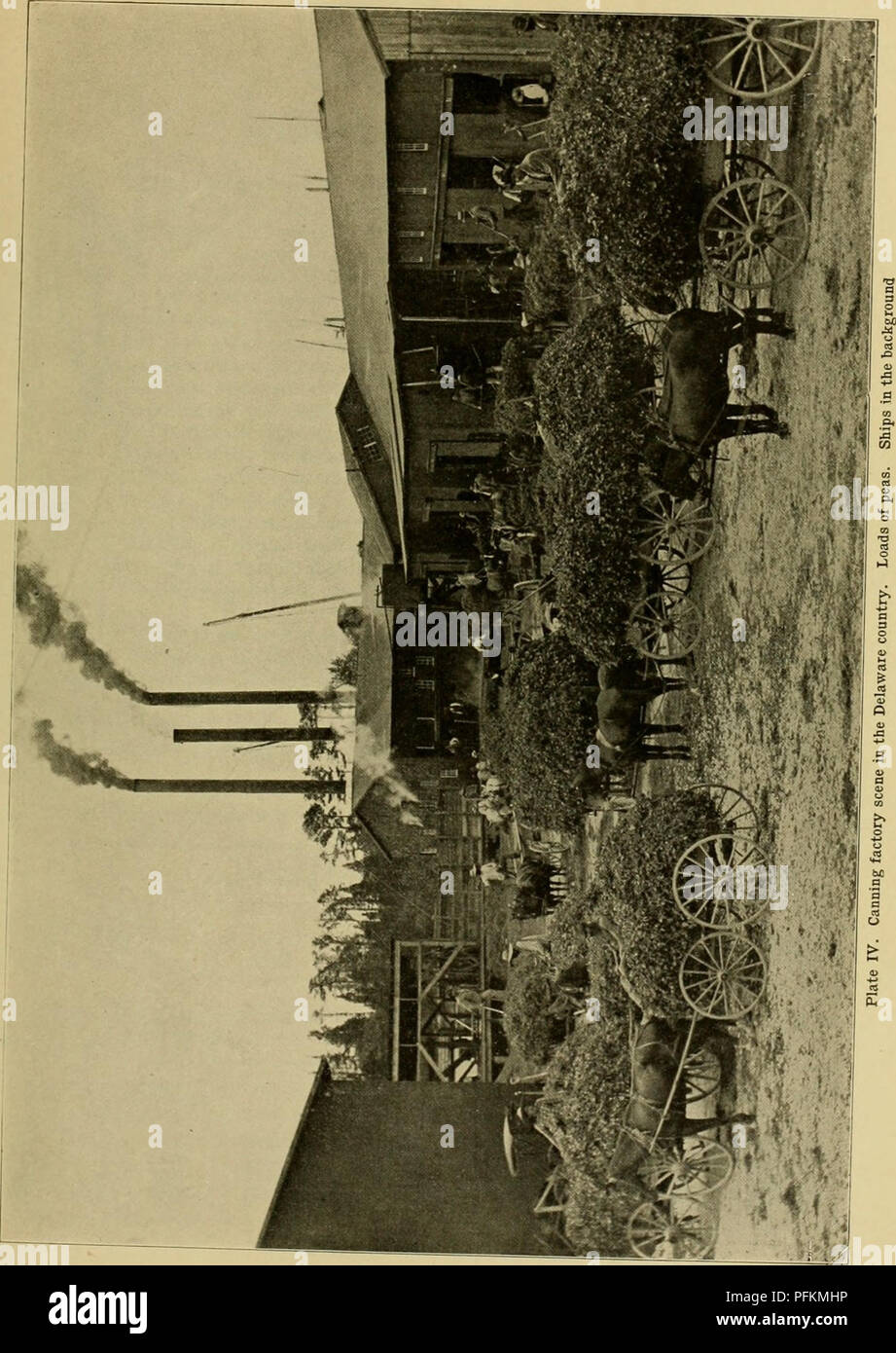 *Cyclopedia of Farm Crops* by Liberty Hyde Bailey is an extensive ...