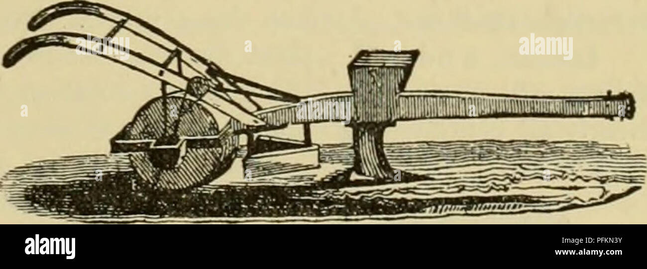 Root nodules leguminous hi-res stock photography and images - Alamy