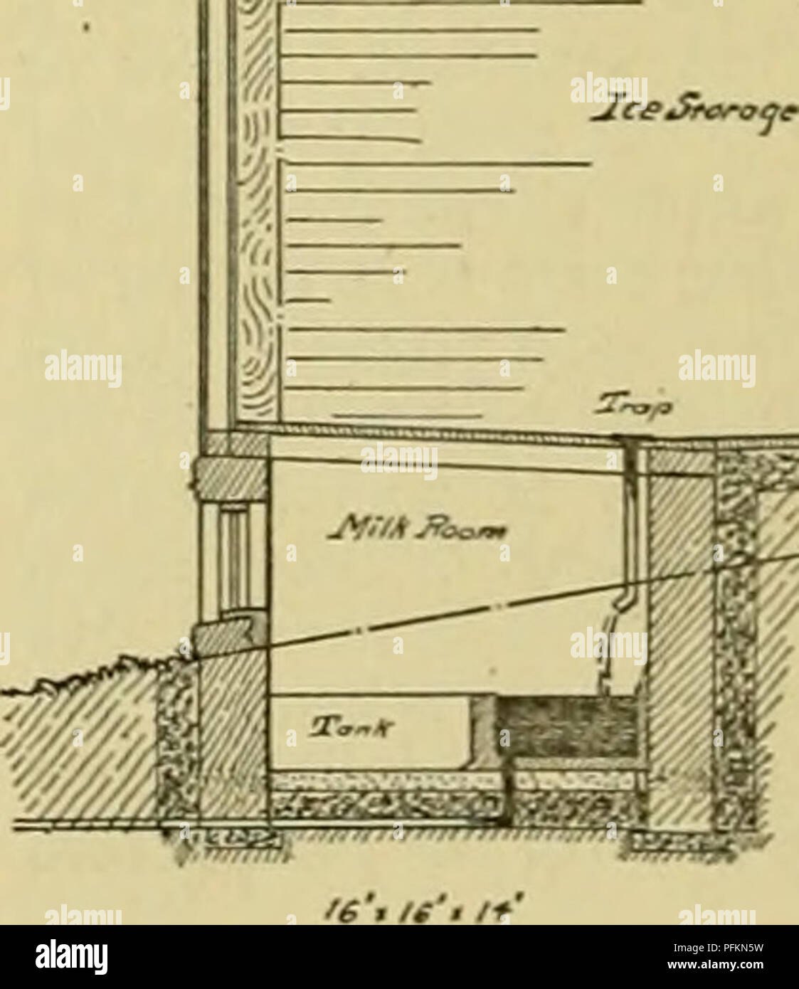 Nouses High Resolution Stock Photography and Images - Alamy
