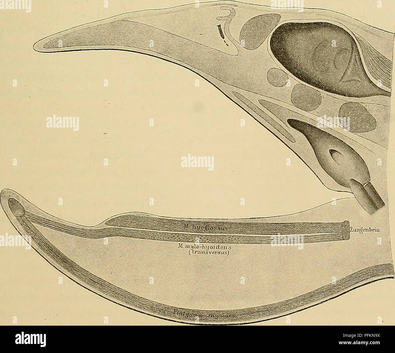 This document contains scientific findings from the Medical-Natural ...
