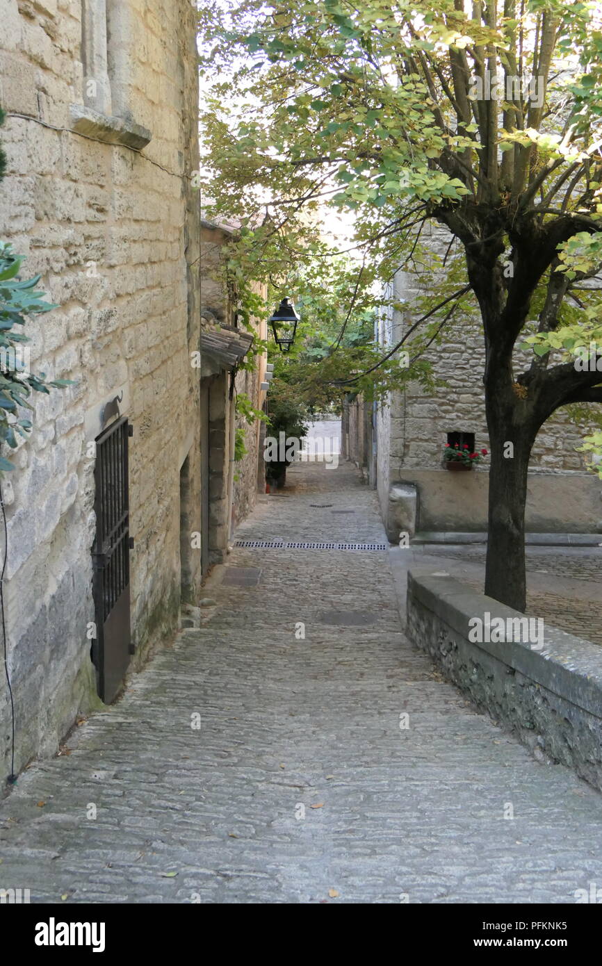 Rue forest hi-res stock photography and images - Alamy