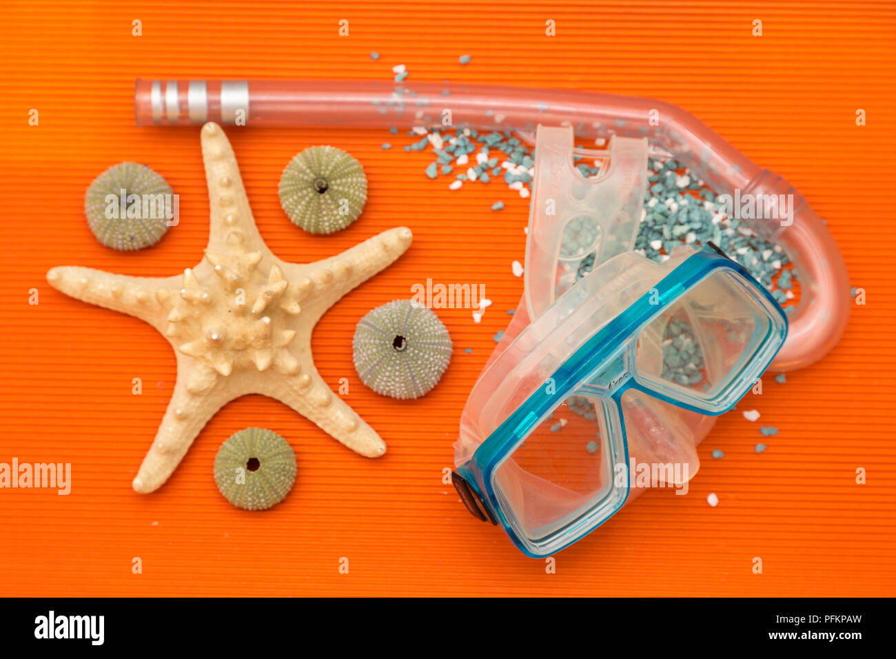 contrast of an orange background against several seashells and ...