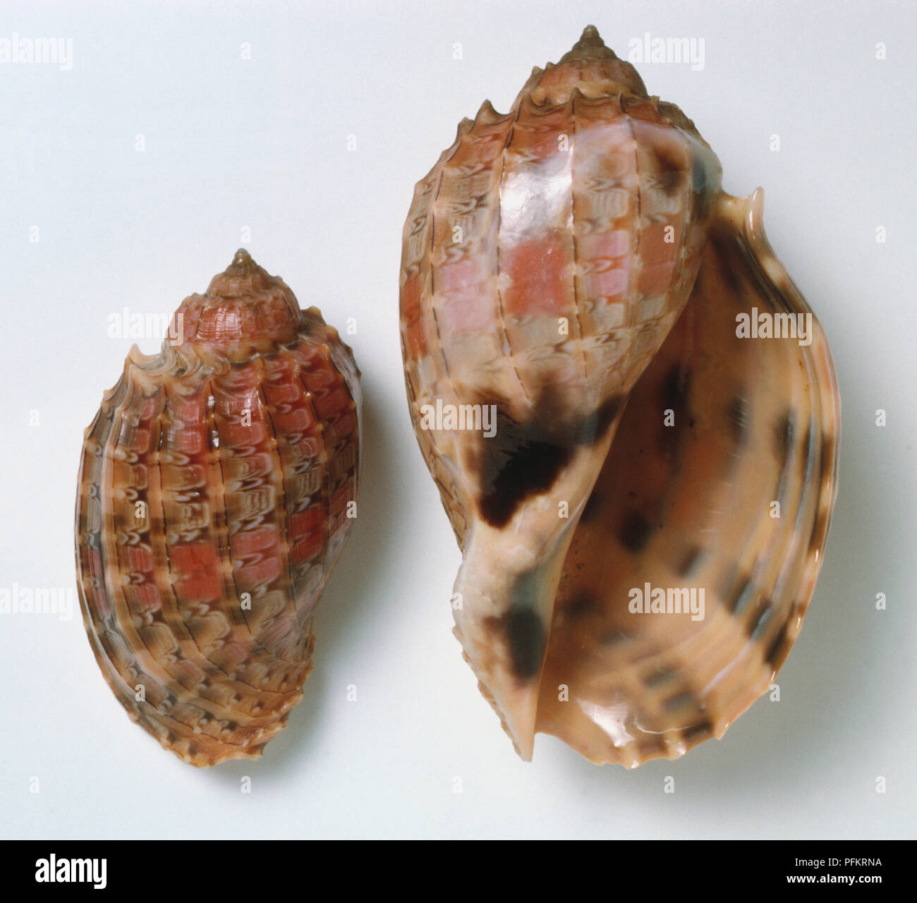 Dark spiral markings hi-res stock photography and images - Alamy