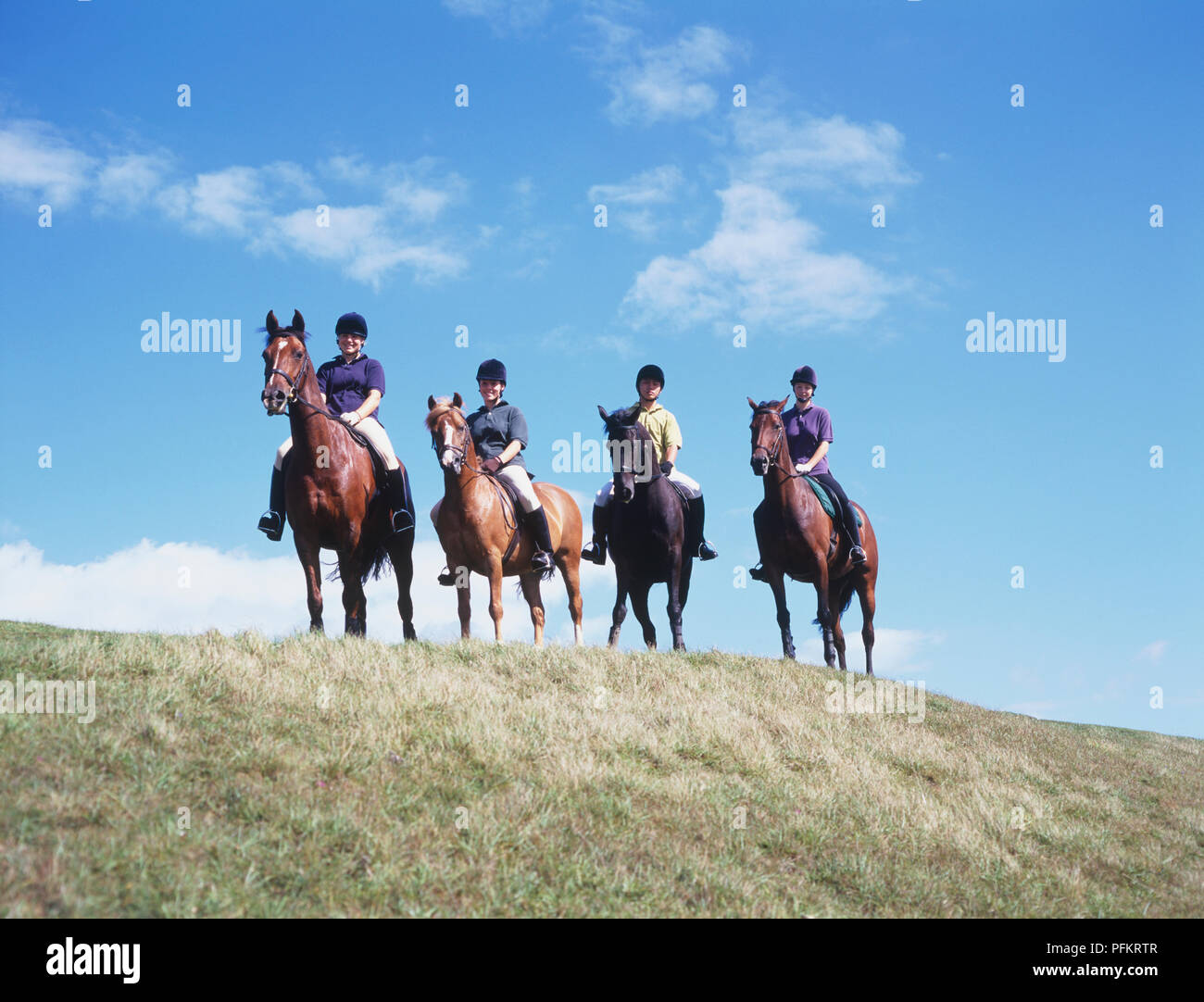 Four riders on ponies on top of hillside Stock Photo - Alamy