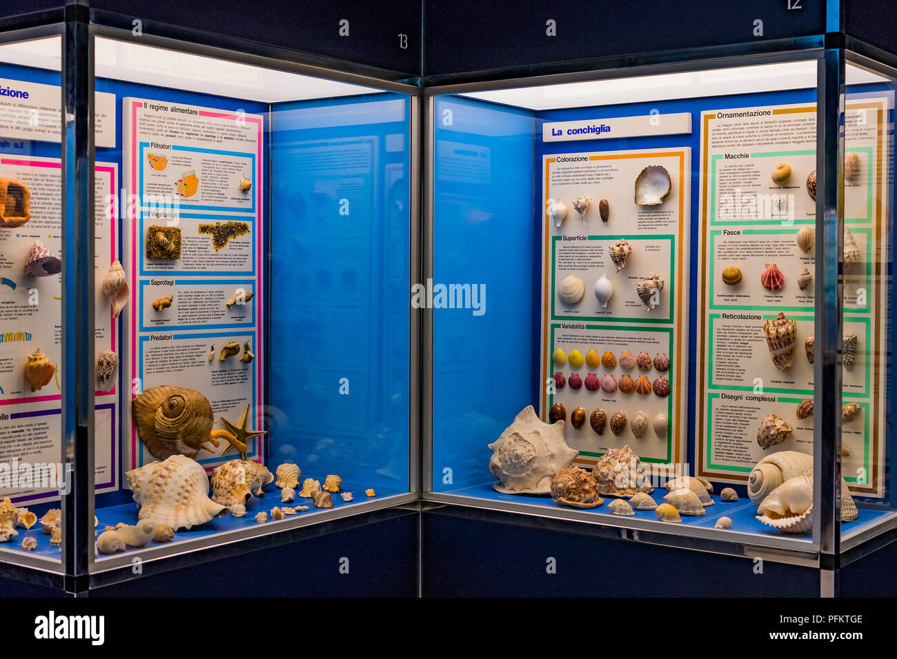 7 JUNE 2018, MILAN, ITALY: Expositions of history of the evolution and ...