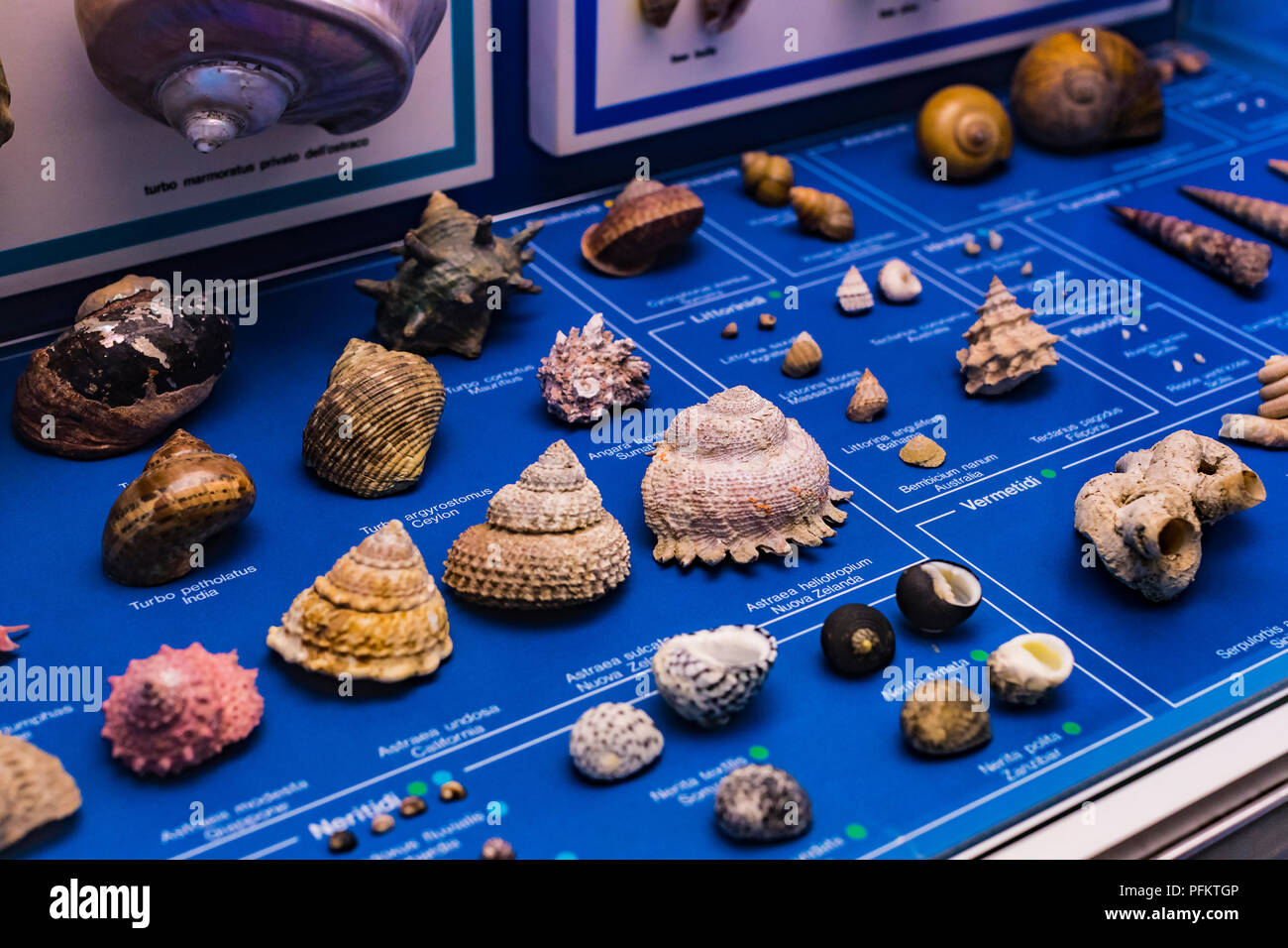 7 JUNE 2018, MILAN, ITALY: Expositions of history of the evolution and ...