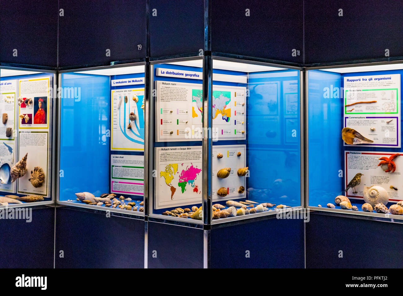 7 JUNE 2018, MILAN, ITALY: Expositions of history of the evolution and ...